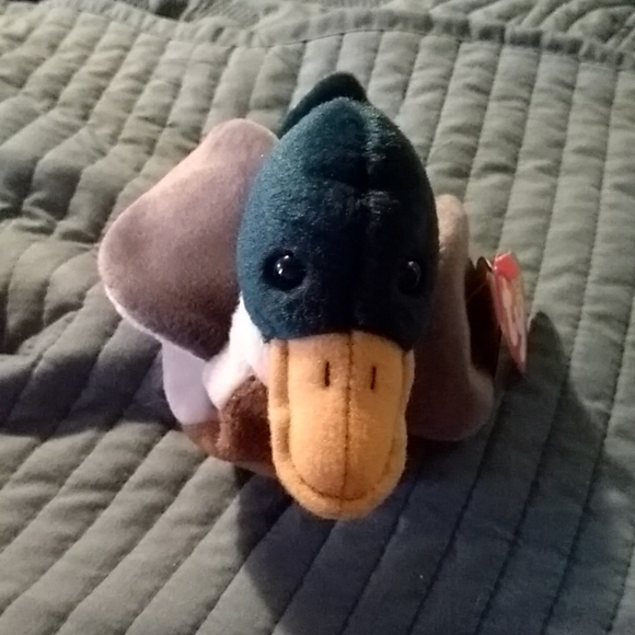 Ty | Toys | Rare Jake The Mallard Duck | Poshmark